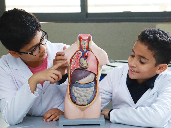 Facilities – IMSSG Official Website