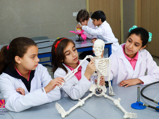 IMSSG Official Website